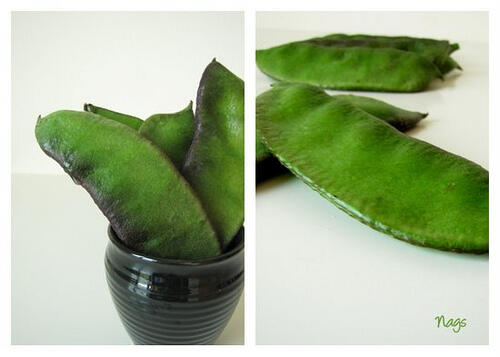 Broad Beans / Avarakka / Avarakkai Thoran Recipe - Edible Garden