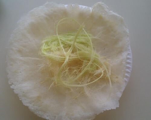 Roti Sai Mai - Thai Cotton Candy in Pancake Dessert - Edible Garden